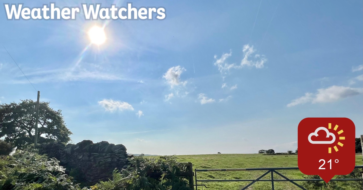 Report - BBC Weather Watchers