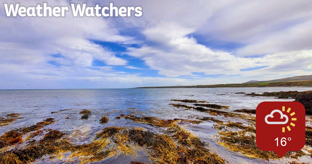 Report - BBC Weather Watchers