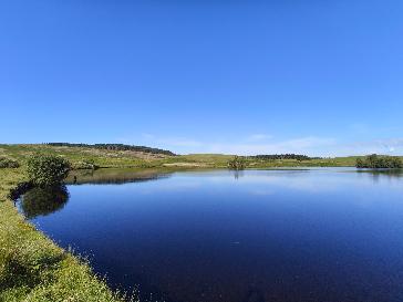 Dumfries - BBC Weather