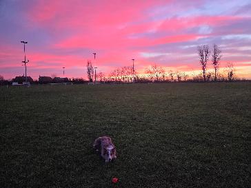 Nottingham - BBC Weather