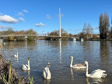 Woodley - BBC Weather