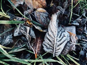 Telford - BBC Weather