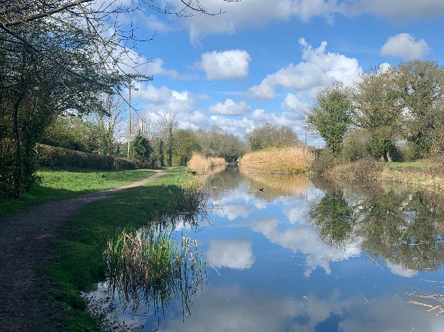 Report - BBC Weather Watchers