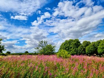 Sunderland - BBC Weather