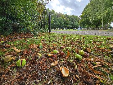 Barking - BBC Weather