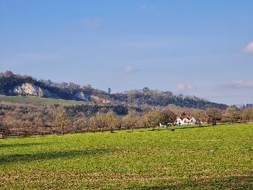 Guildford - BBC Weather