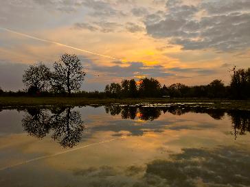 Norwich - BBC Weather