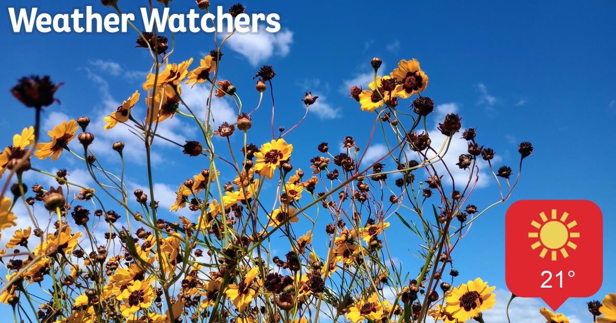 Report - BBC Weather Watchers