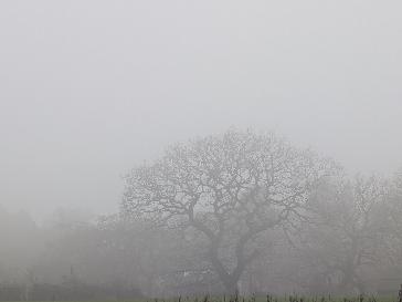 Leyland - BBC Weather