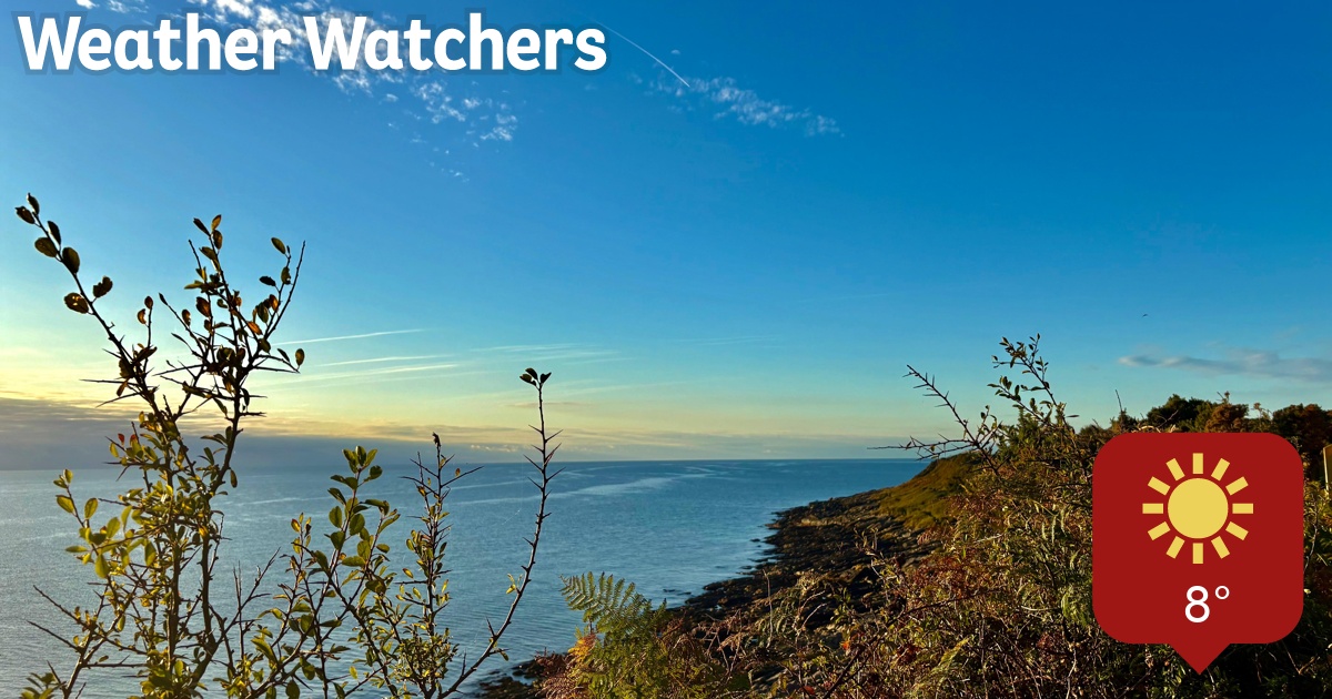 Report - BBC Weather Watchers