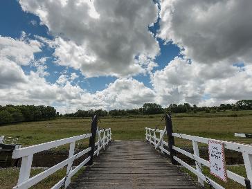 Reading - BBC Weather