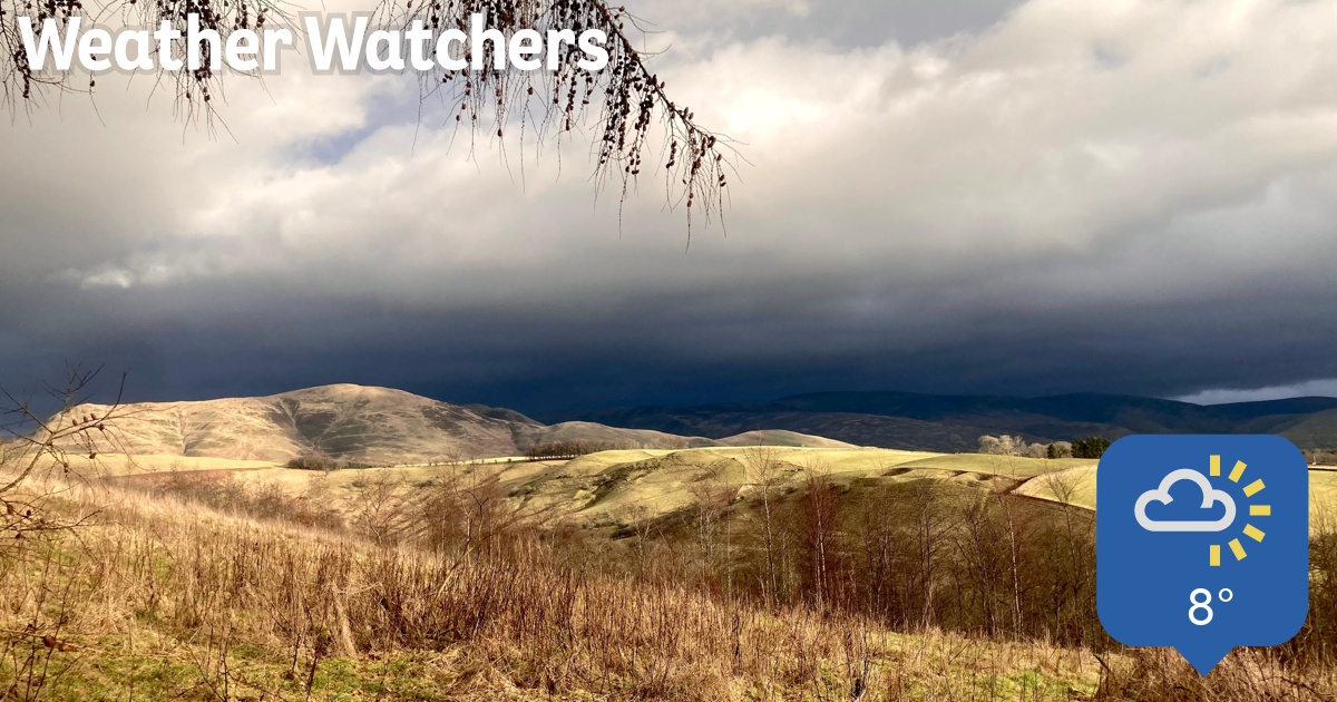 Report - BBC Weather Watchers