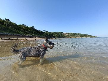 Southampton - BBC Weather