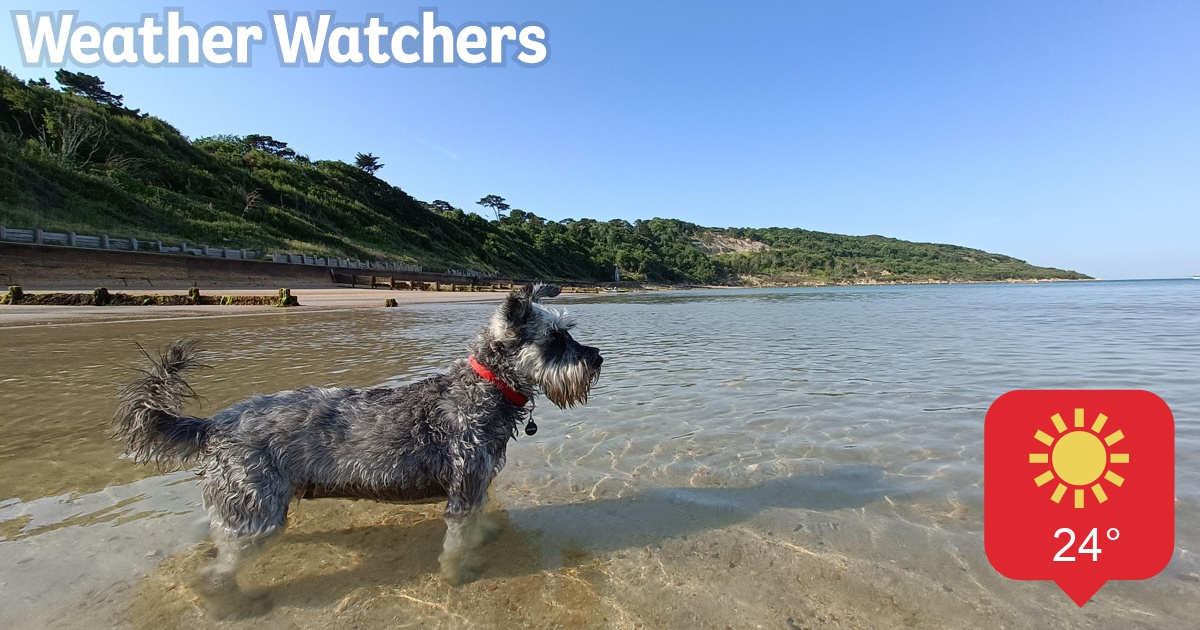 Report - BBC Weather Watchers