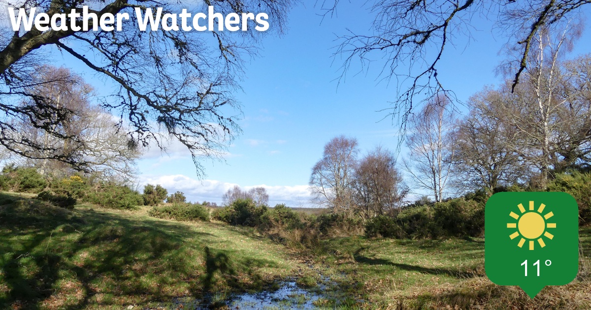 Report - BBC Weather Watchers