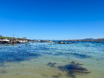 Prestwick - BBC Weather