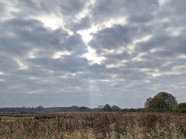 Widnes - BBC Weather