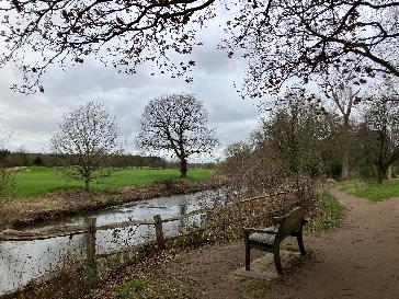 Woking - BBC Weather