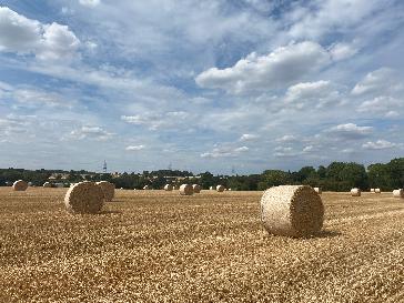 Norwich - BBC Weather