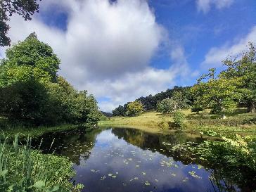 Trowbridge - BBC Weather