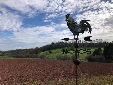 Exeter - BBC Weather