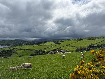 Magherafelt - BBC Weather