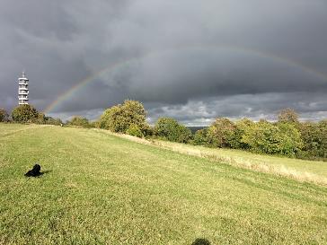 Bath - BBC Weather