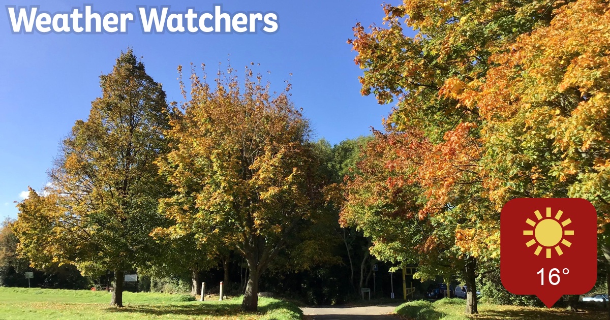 Report - BBC Weather Watchers