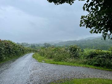 Cardigan - BBC Weather