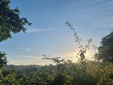 Birmingham - BBC Weather