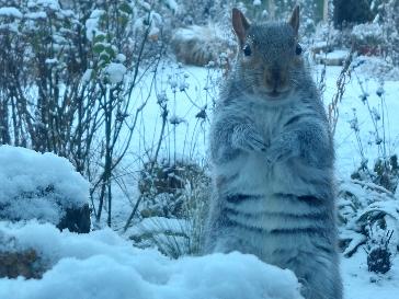 Wolverhampton - BBC Weather