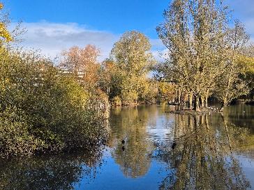 Maidenhead - BBC Weather