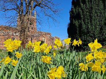 Exeter - BBC Weather