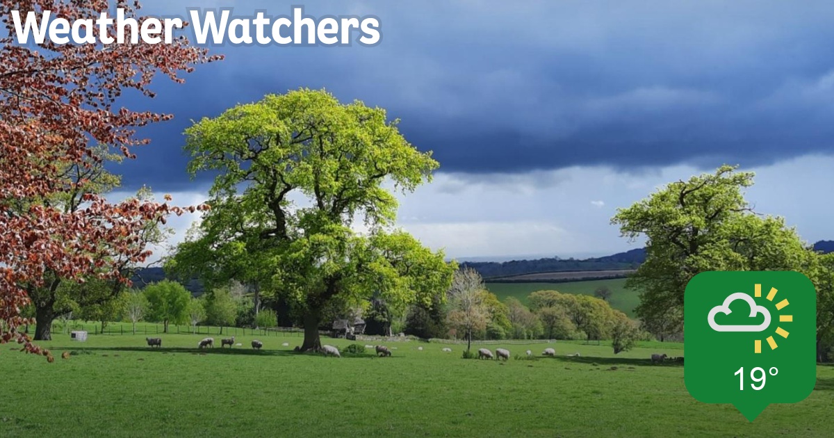 Report - BBC Weather Watchers