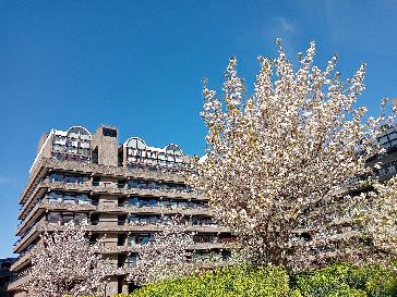 Sutton - BBC Weather