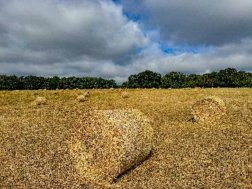 Edenbridge - BBC Weather