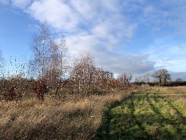 Nuneaton - BBC Weather