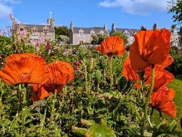 Oldmeldrum - BBC Weather