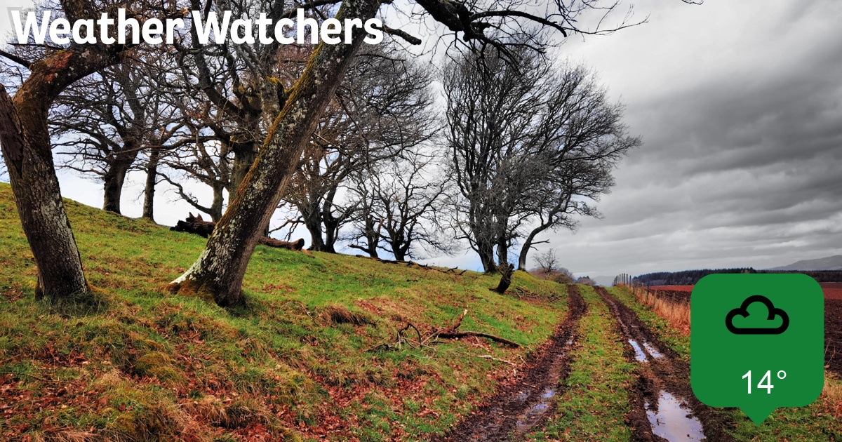 Report - BBC Weather Watchers