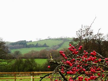 Oswestry - BBC Weather