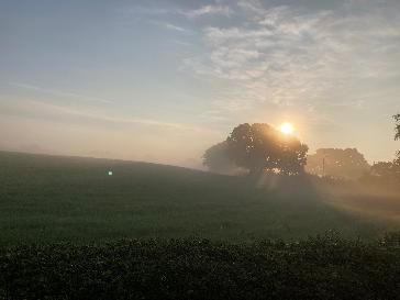 Denbigh - BBC Weather