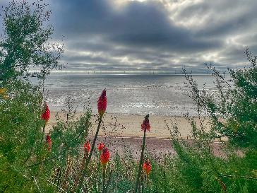 Dedham - BBC Weather