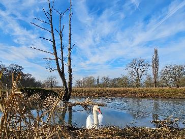Alcester - BBC Weather
