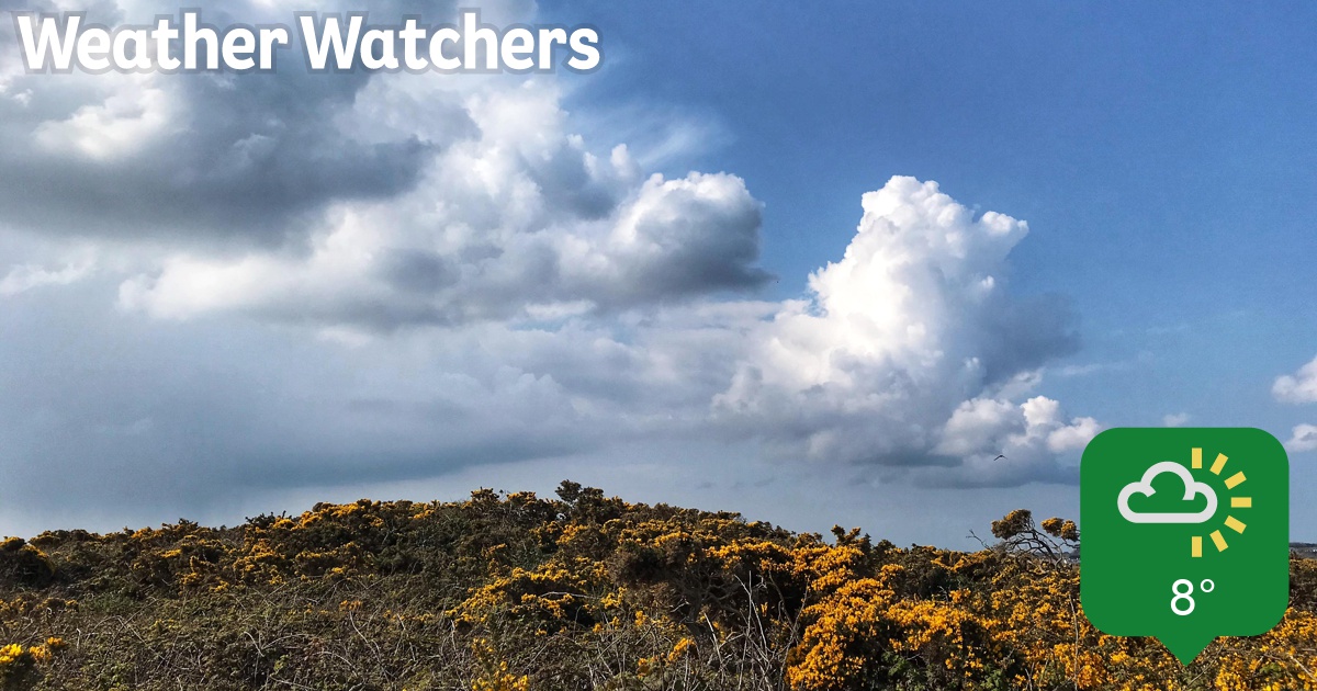 Report - BBC Weather Watchers