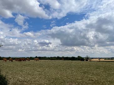 Nottingham - BBC Weather