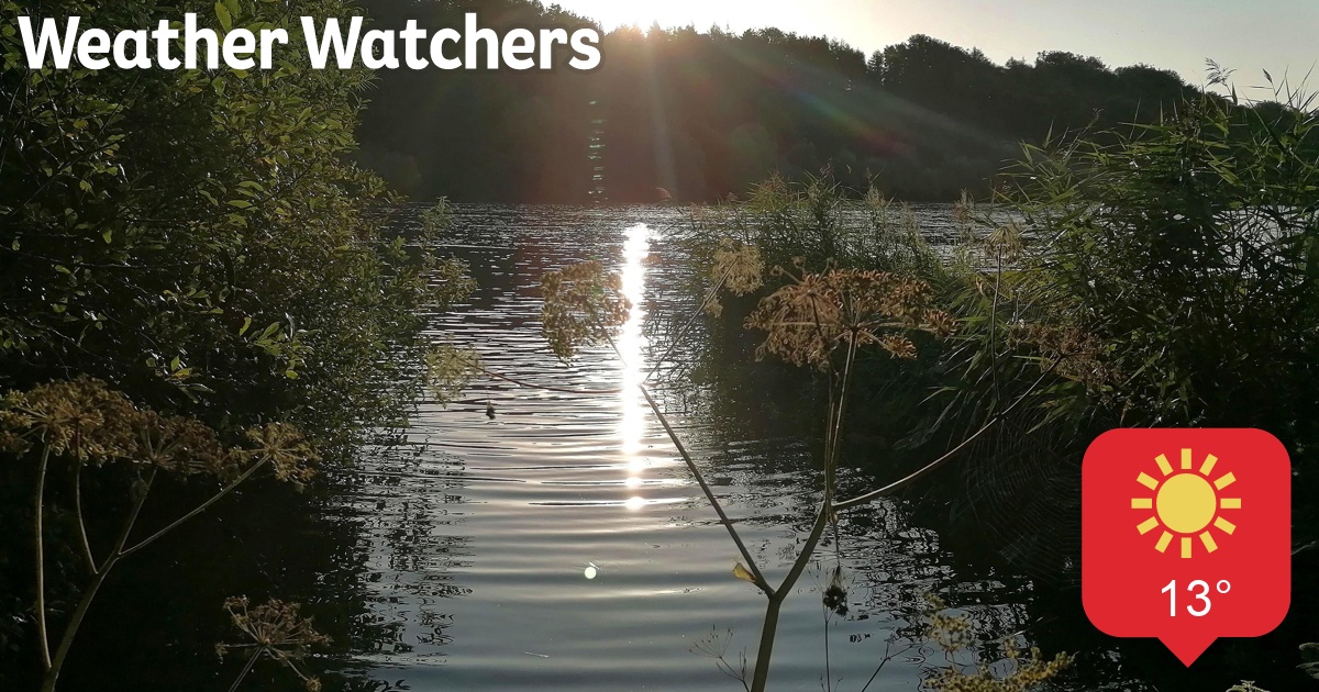 Report - BBC Weather Watchers