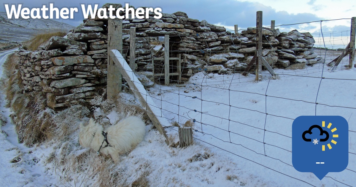 Report - BBC Weather Watchers