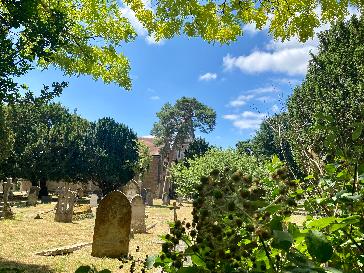 Camberley - BBC Weather