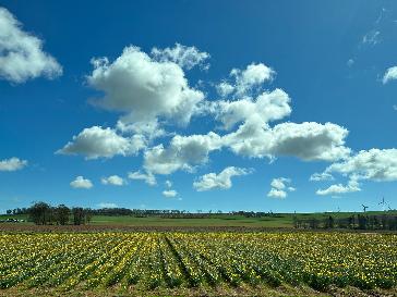 Lerwick - BBC Weather