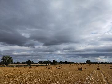 Harrogate - BBC Weather